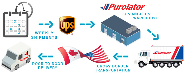 Purolator Shipping Rates
